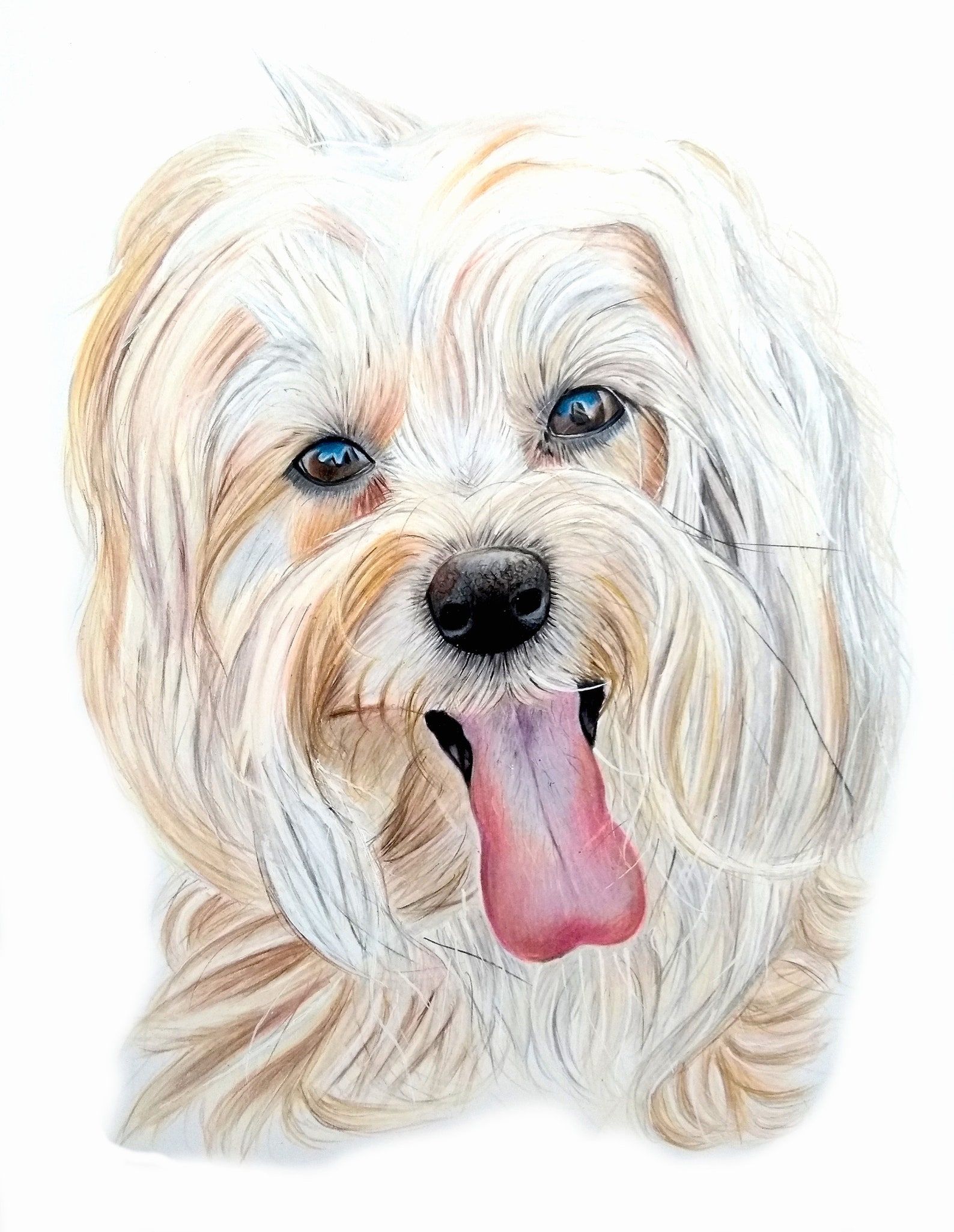 Custom Colored Pencil Pet Portraits Realistic Dog and Cat | Etsy