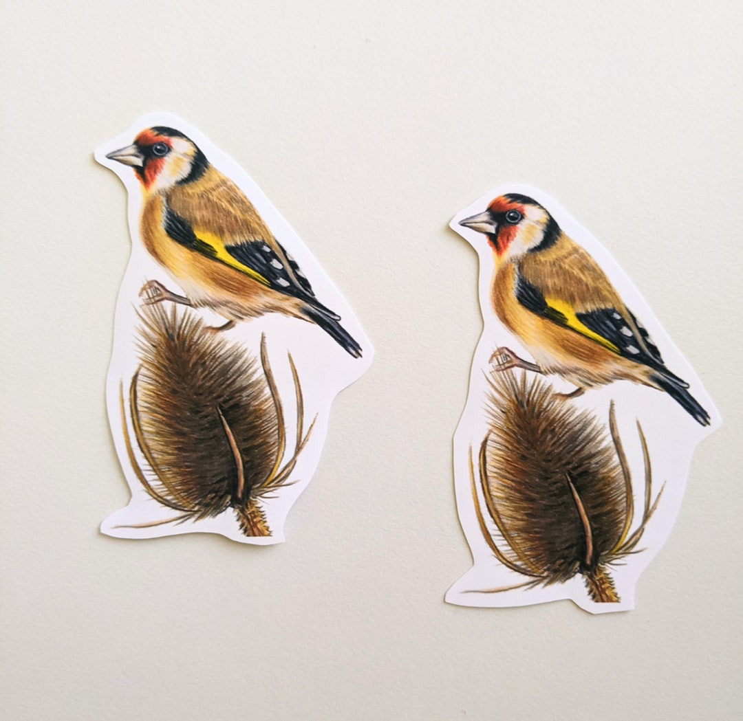 Goldfinch Bird Stickers, Vinyl Stickers, Colored Pencil Bird Art, for ...