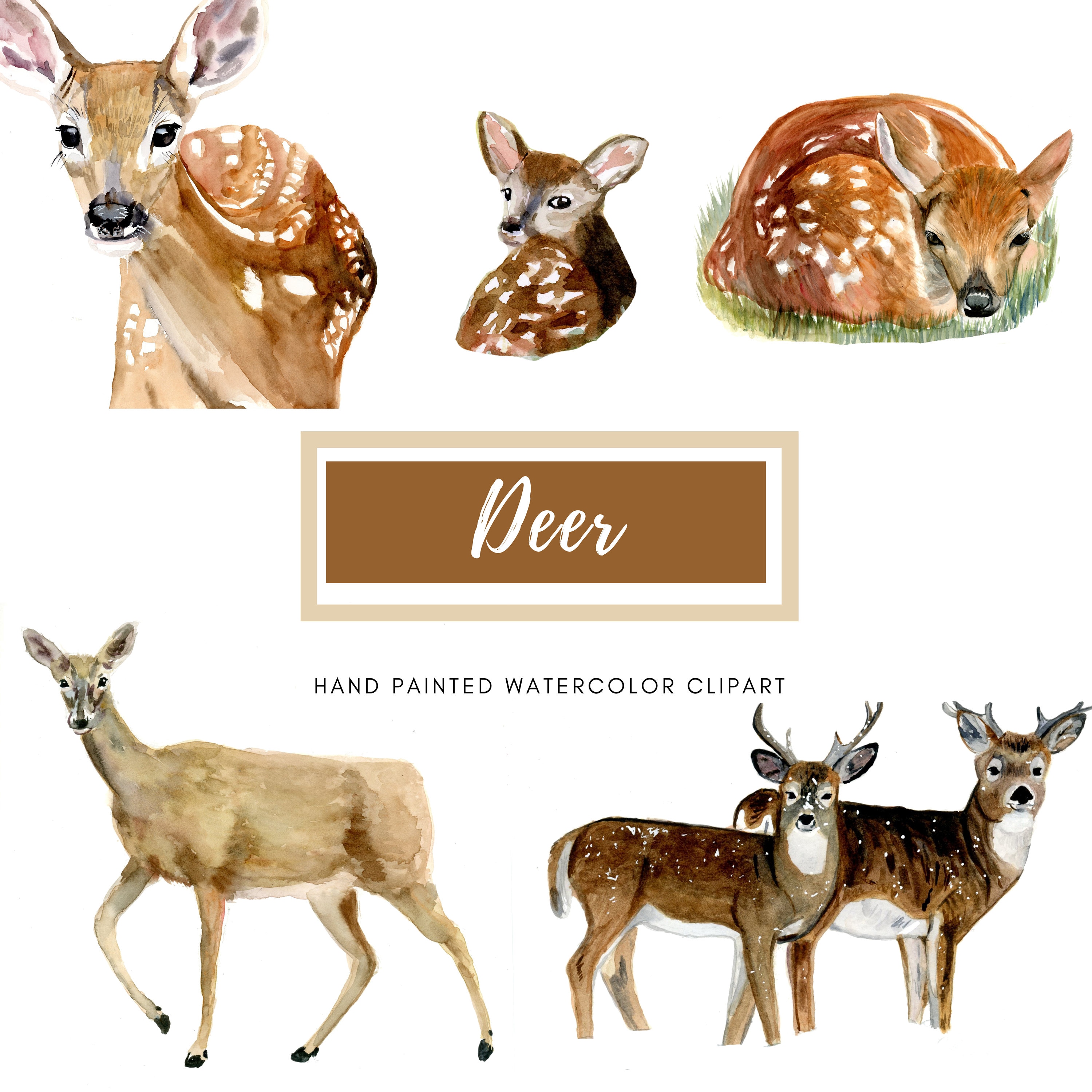 Deer Clipart Watercolor Deer Clipart Woodland Friends - Etsy