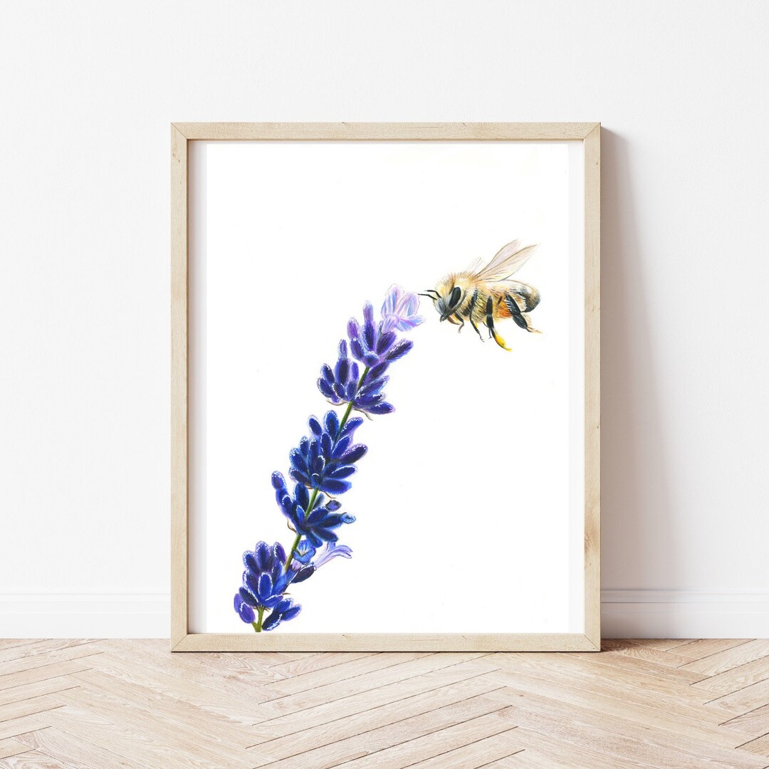 ORIGINAL Colored Pencil Bee and Lavender Drawing, Wildlife Artwork ...