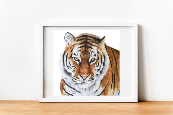 How To Draw Tiger Stripes Step By Step