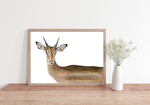 Impala Drawing Colored Pencil Artwork Hand Drawn - Etsy