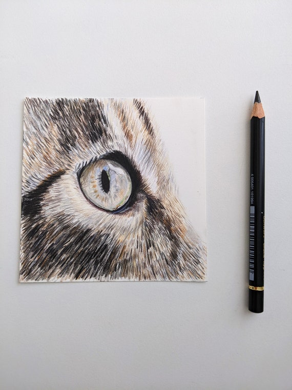 Realistic Drawing Of A Cat Eye