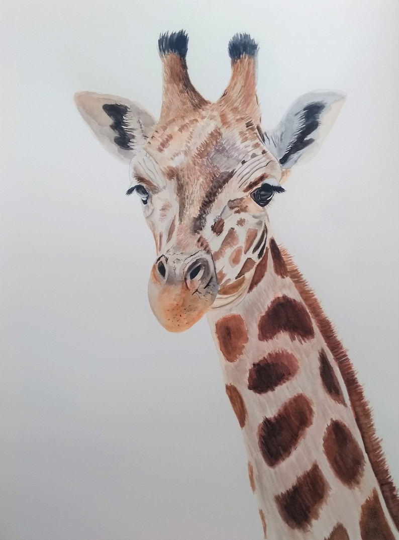 Original Watercolor Giraffe Painting, Watercolor Wildlife Art, Hand ...