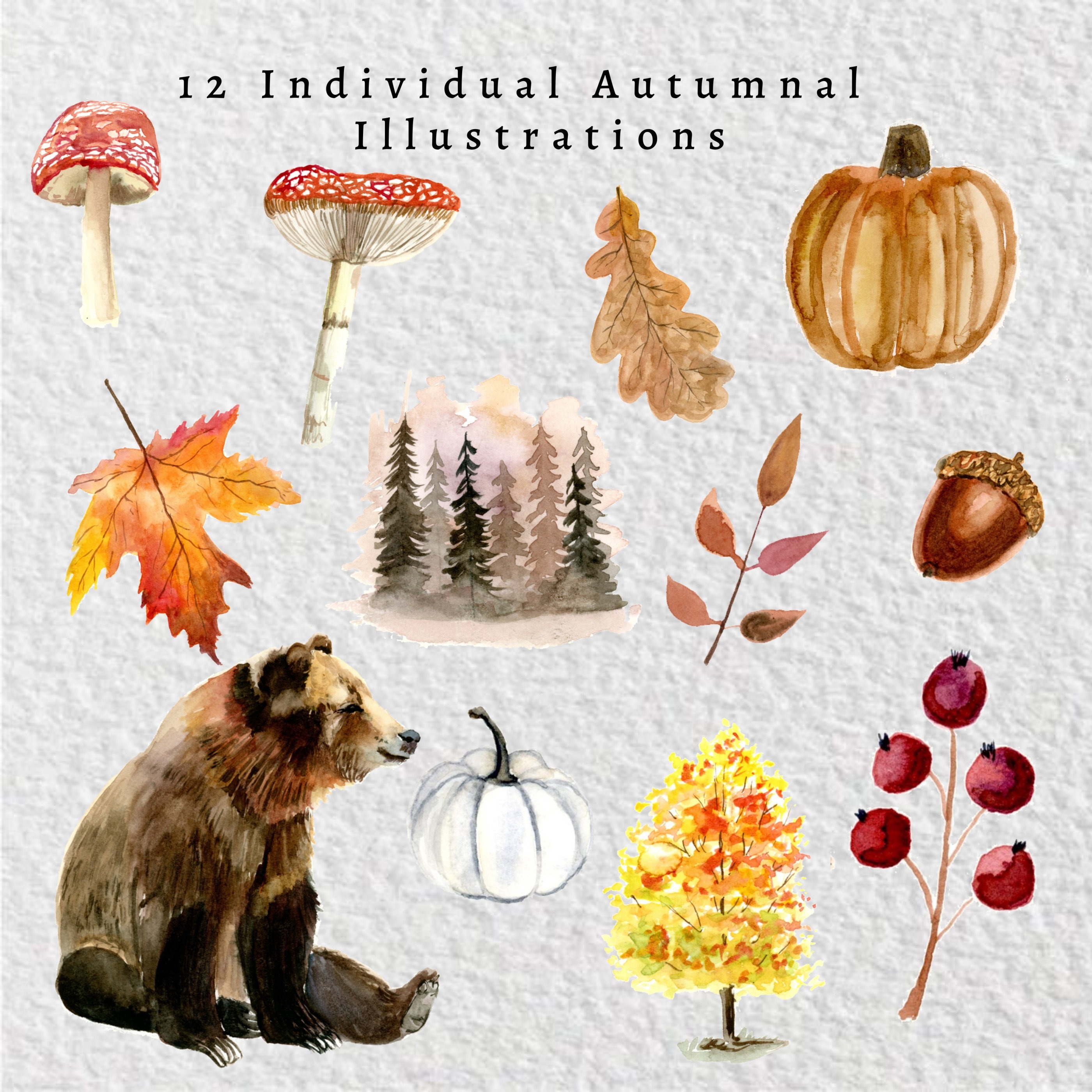 Autumn Watercolor Clipart Fall Clipart Pumpkins Bear Misty - Etsy
