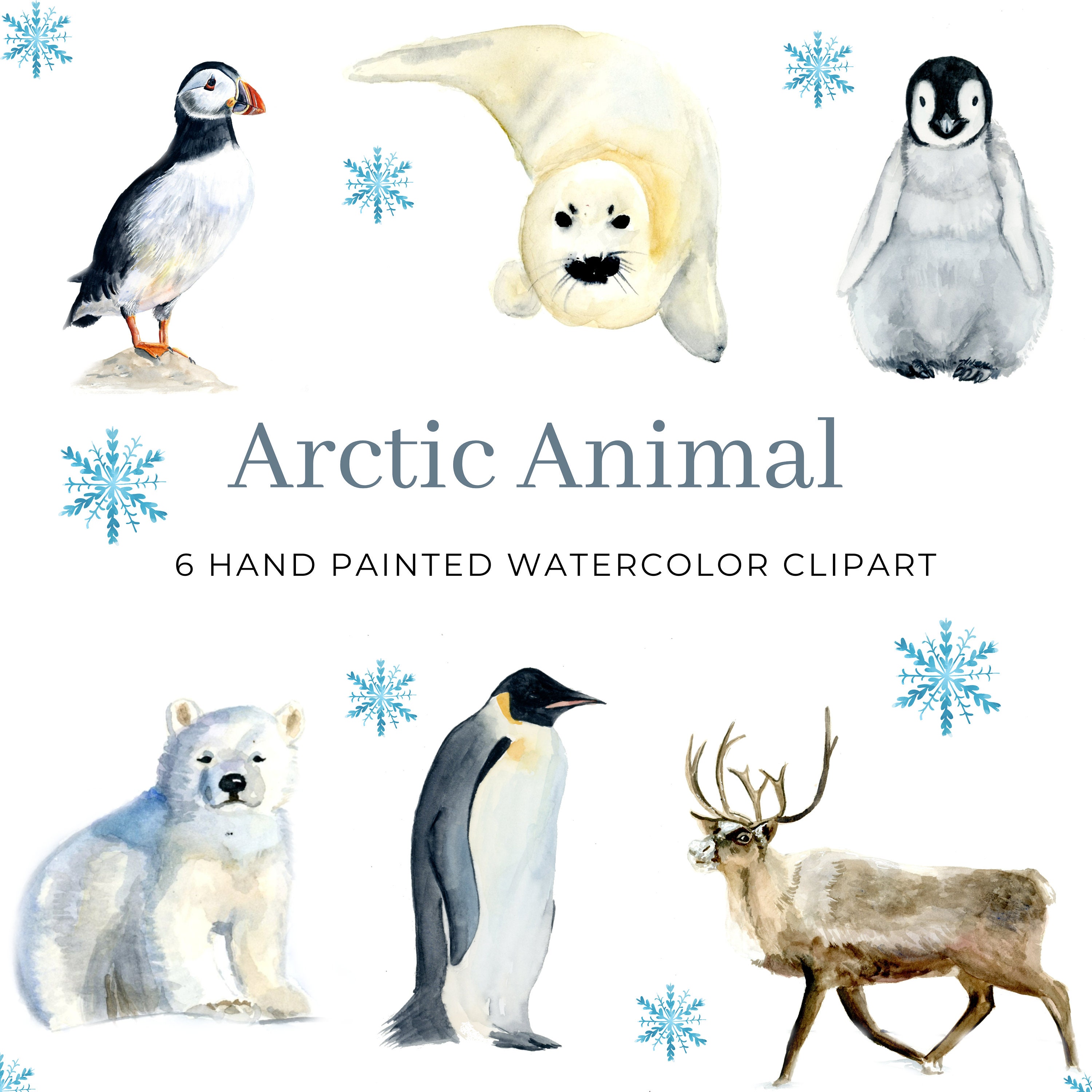 6 Watercolor Arctic Clipart Cute Animal Clipart Commercial | Etsy