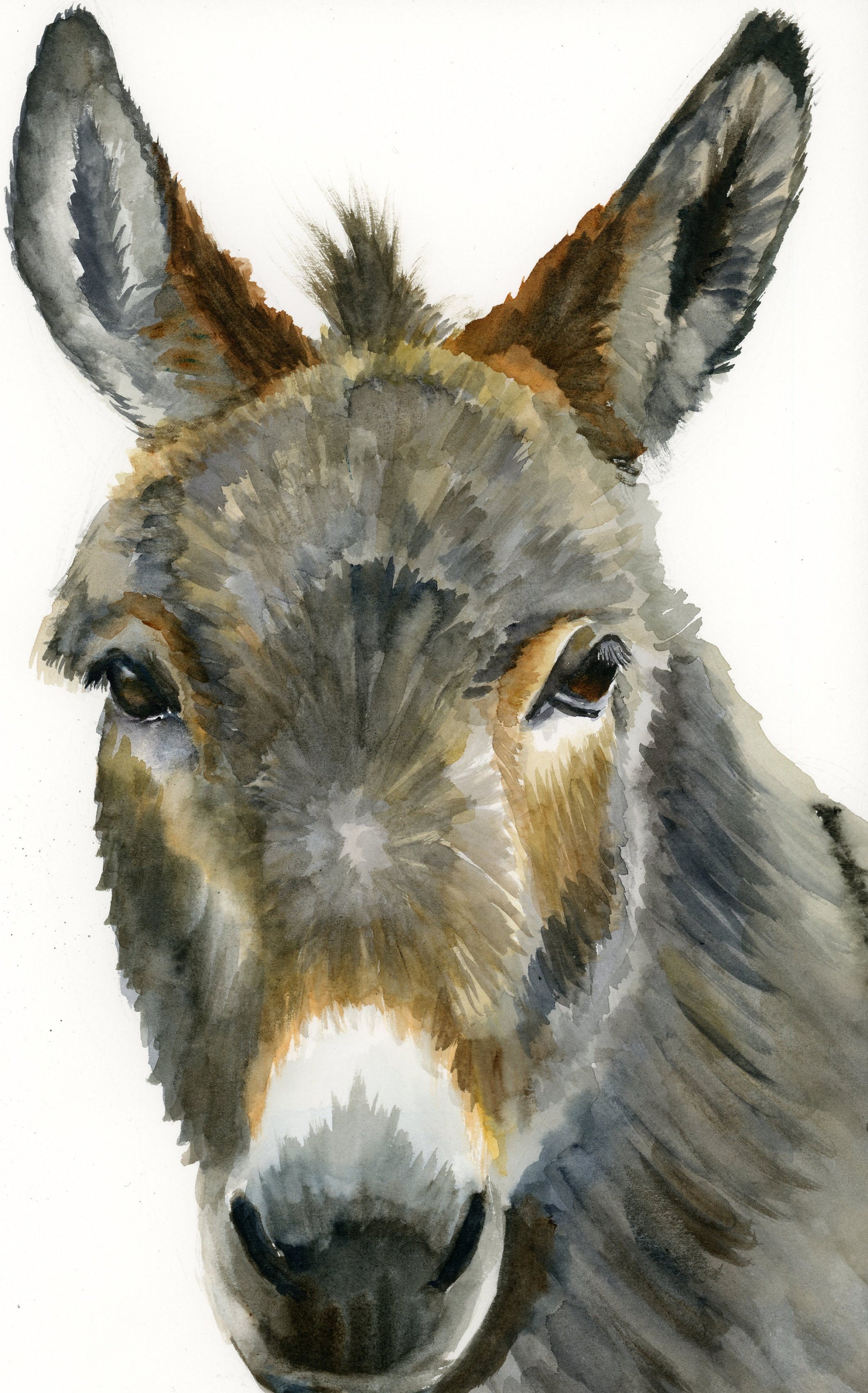 Watercolor Donkey Painting, ORIGINAL Cute Watercolor Donkey , Nursery ...