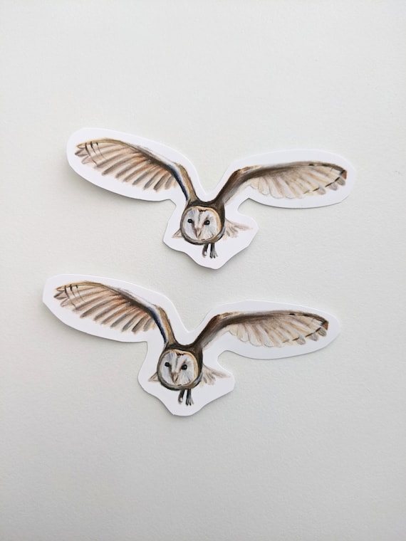 Flying Barn Owl Stickers Colored Pencil Bird Drawing - Etsy