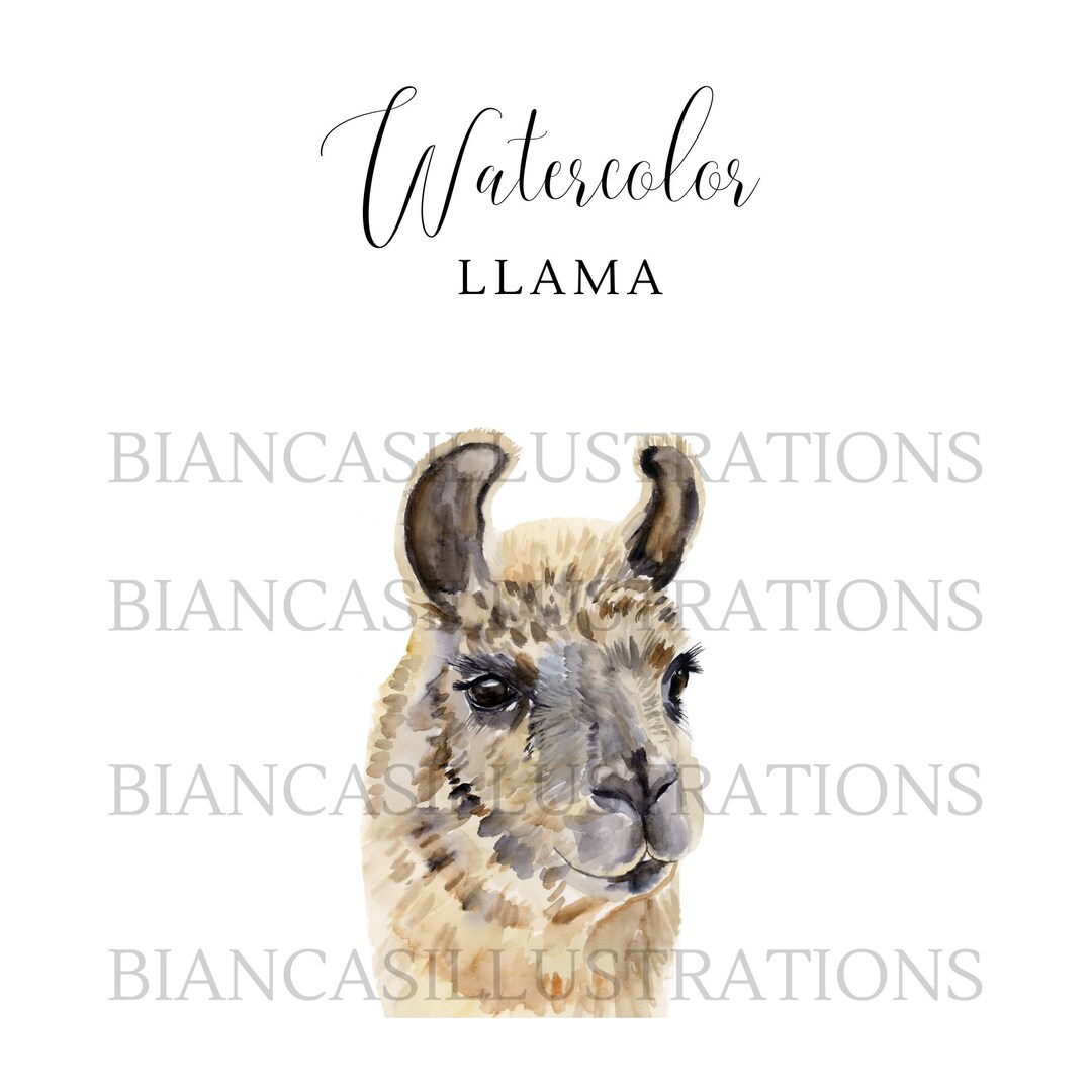 Llama Watercolor Clipart | Hand Painted | Illustration | Graphic ...