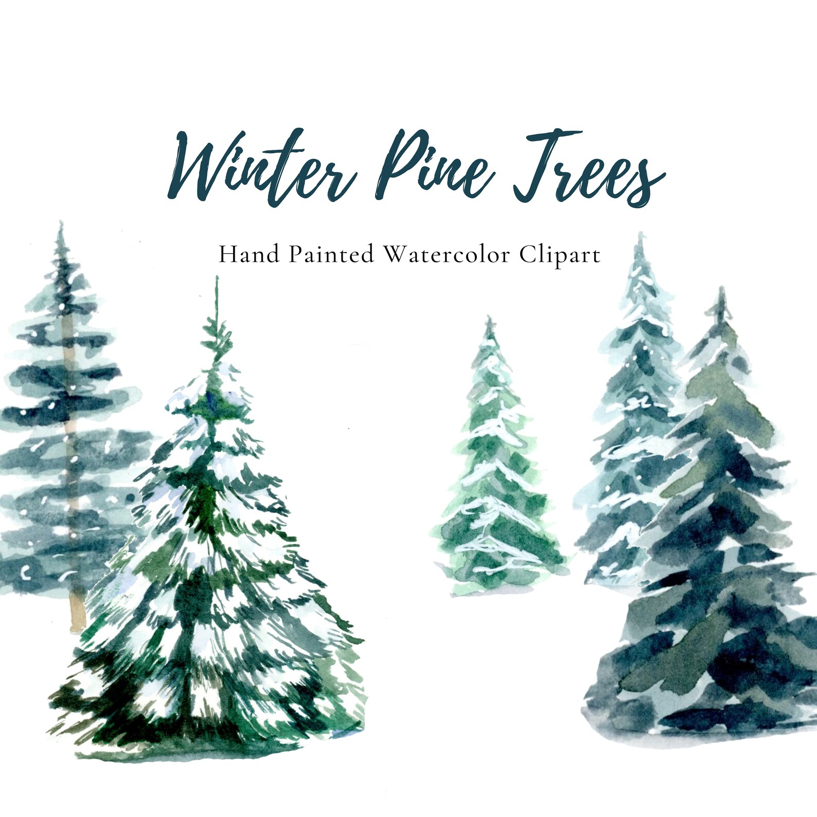 Watercolor Winter Pine Trees Clipart, Snowy Pine Trees Graphic ...