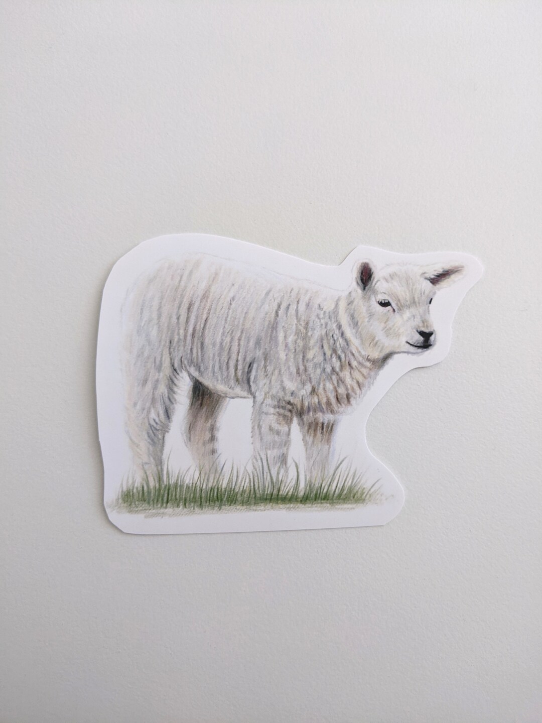 Lamb Sticker | Colored Pencil Lamb Sticker | for Water Bottles, Laptops ...