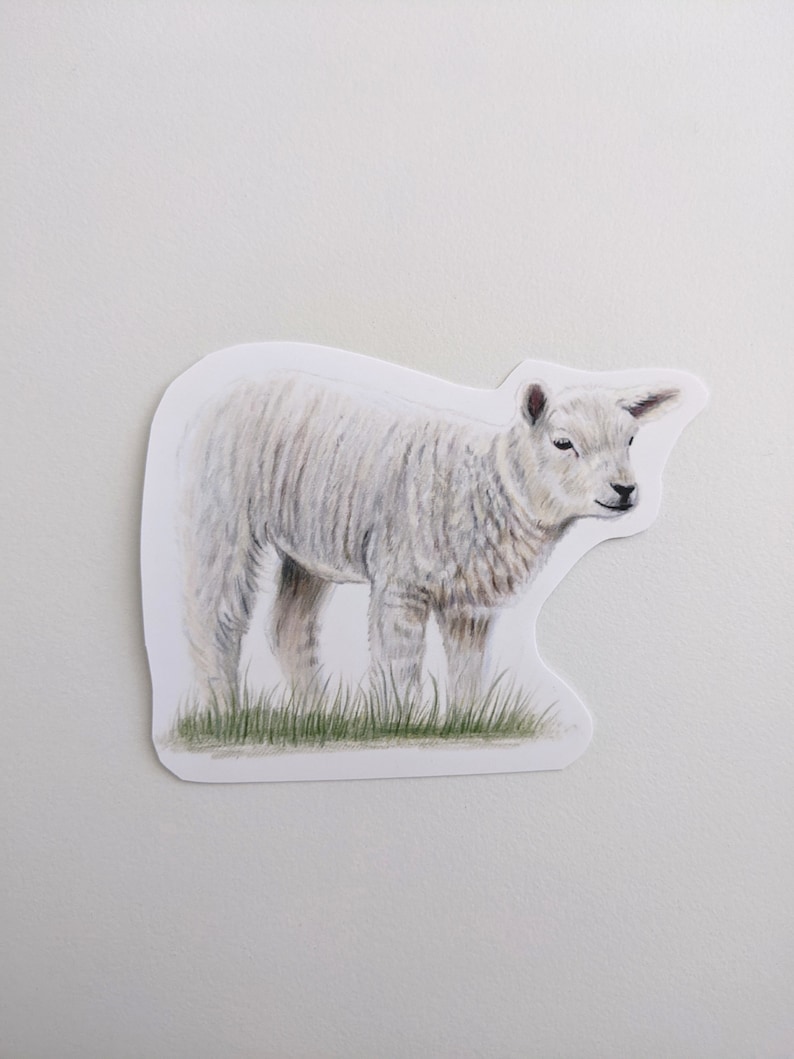 Lamb Sticker Colored Pencil Lamb Sticker for Water - Etsy