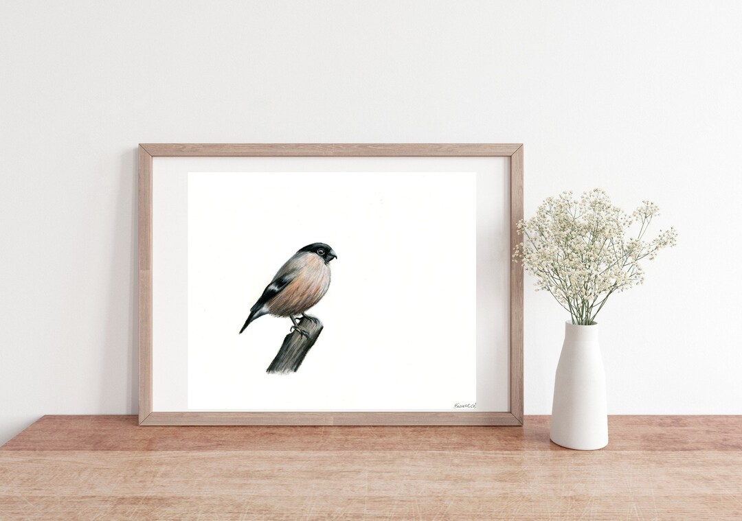 Colored Pencil Bullfinch Drawing | Eurasian Bullfinch Artwork | Hand ...