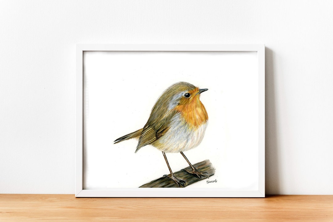 Robin Drawing, ORIGINAL Colored Pencil Artwork, 10x10 Bird Art, Robin ...