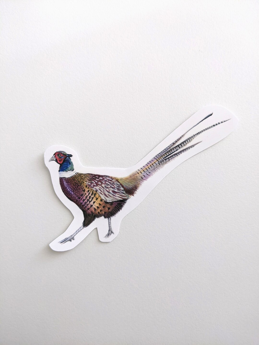 Phesant Stickers | Colored Pencil Bird Drawing | Hand Drawn | Vinyl ...