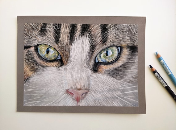 Photorealistic Cat Eyes Study Pastel Pencil Cat Drawing | Etsy