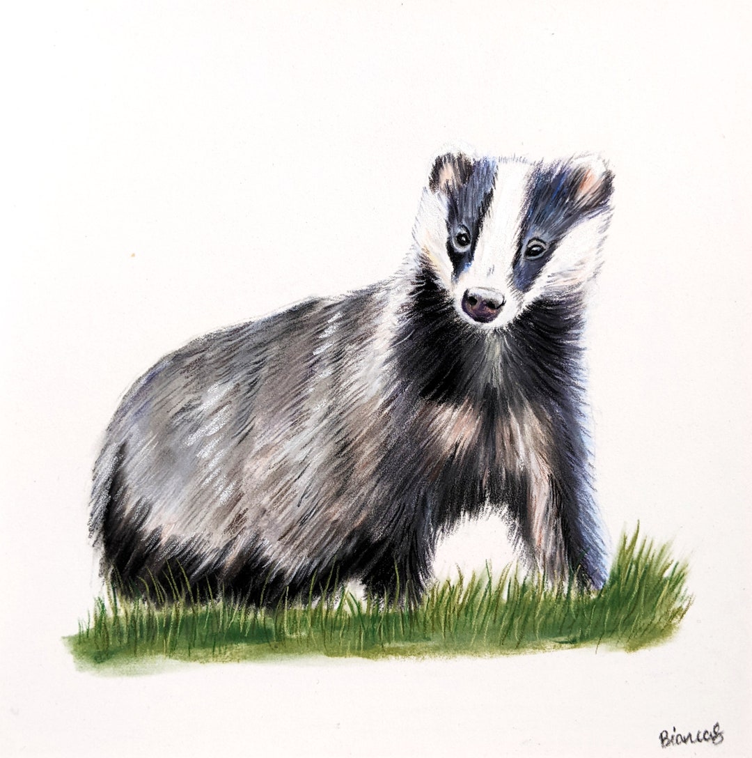 Badger Drawing ORIGINAL Pastel Artwork Wildlife Illustration Hand Drawn ...