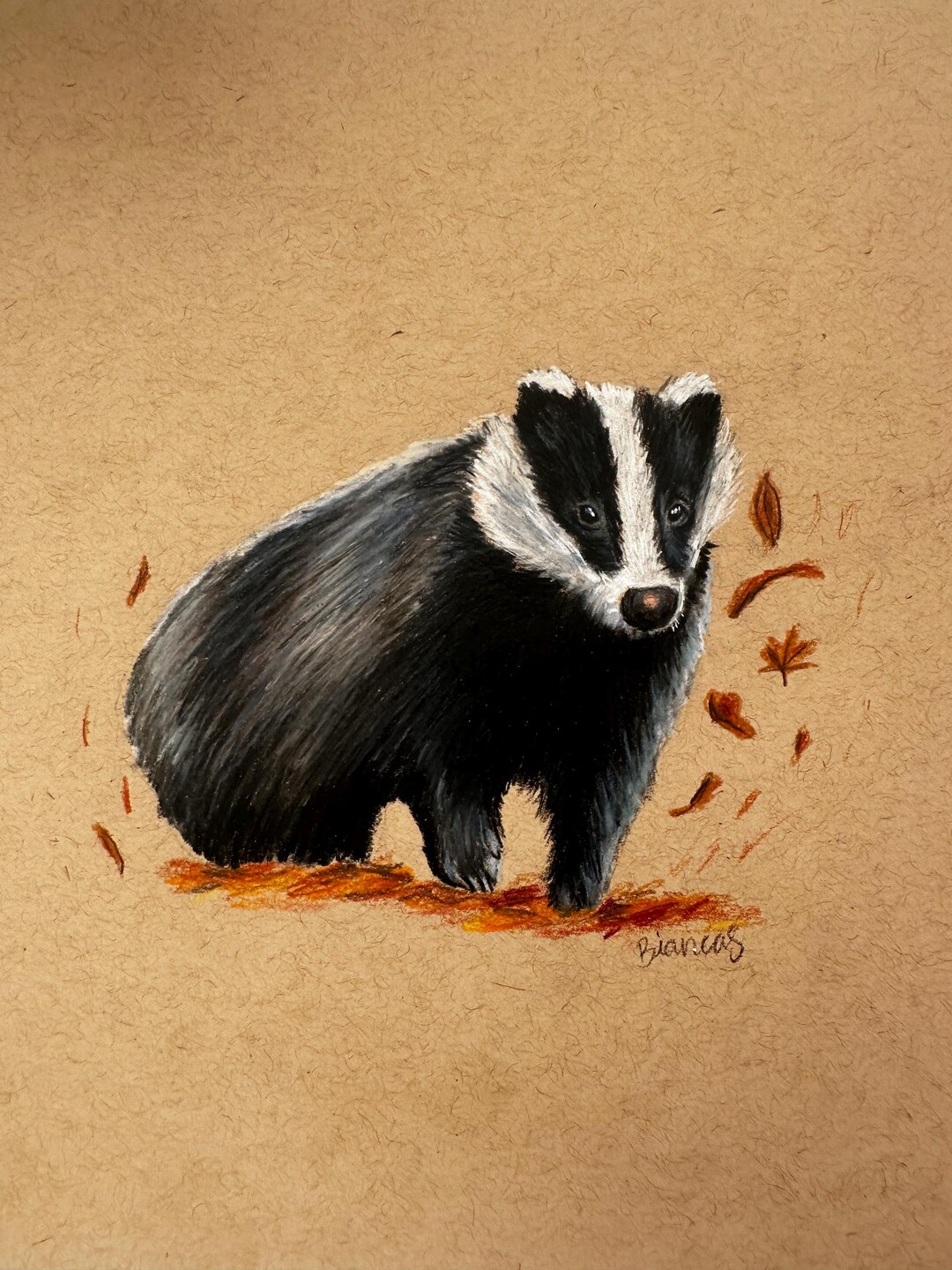 Colored Pencil Badger Drawing | Hand Drawn | 9"x12" Illustration - Etsy