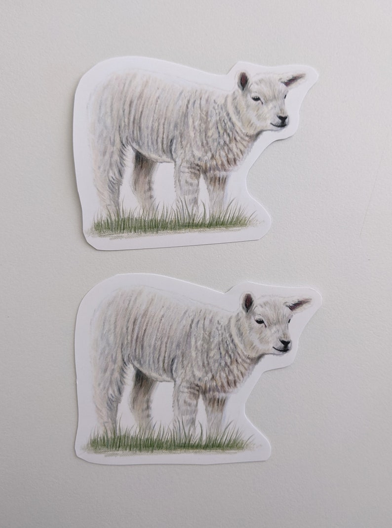 Lamb Sticker Colored Pencil Lamb Sticker for Water - Etsy