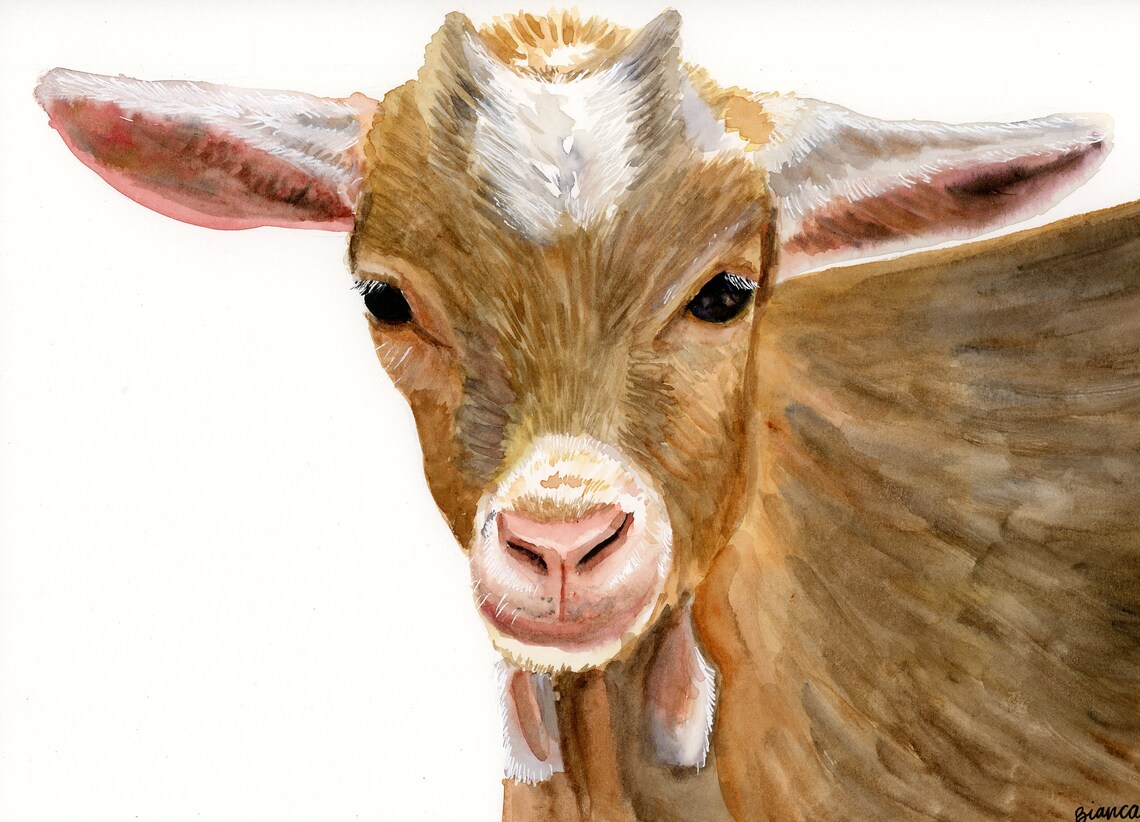 Watercolor Goat Painting, ORIGINAL Watercolor Baby Goat, Nursery Room ...