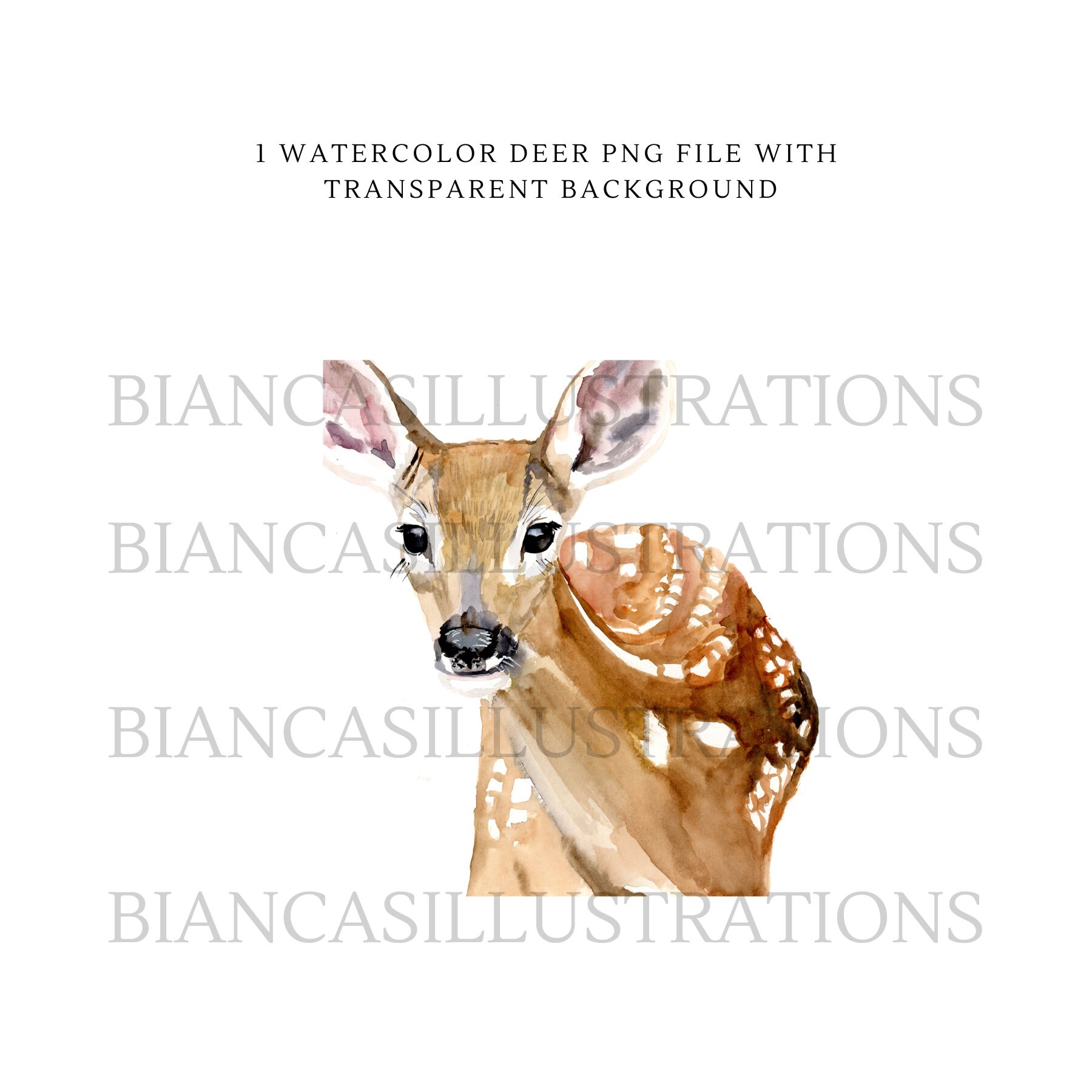 Deer Watercolor Clipart Hand Painted Illustration - Etsy