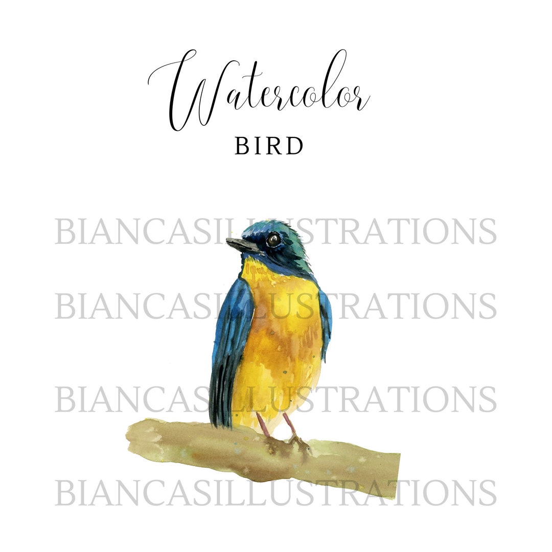 Bird Watercolor Clipart | Hand Painted | Illustration | Graphic | Bird ...