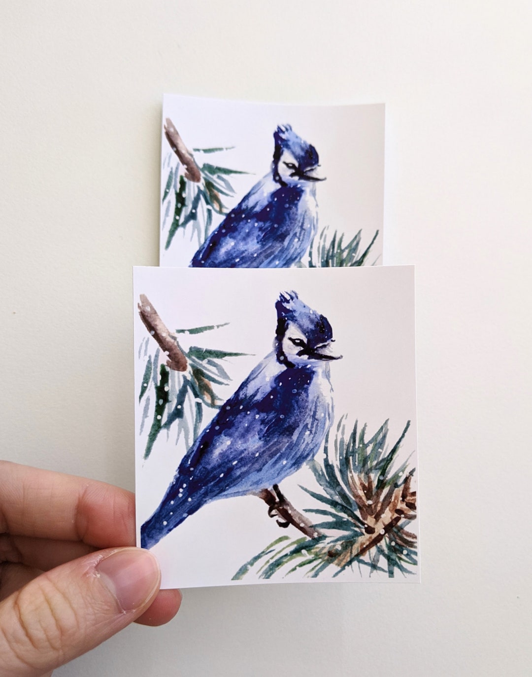 Blue Jay Sticker, Watercolor Blue Jay Bird Vinyl Sticker, for Water ...