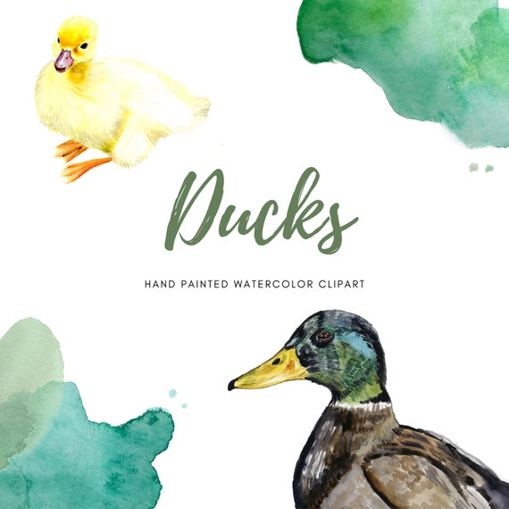 Watercolor Ducks Clipart Hand Painted Illustrations 2 Ducks | Etsy
