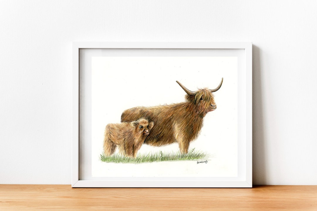 Cows Drawing | Colored Pencil Artwork | 8"x10" | Hand Drawn | Highland ...