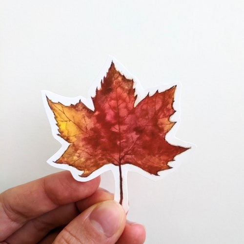Maple Leaves Sticker Fall Leaves Sticker Vinyl Stickers - Etsy