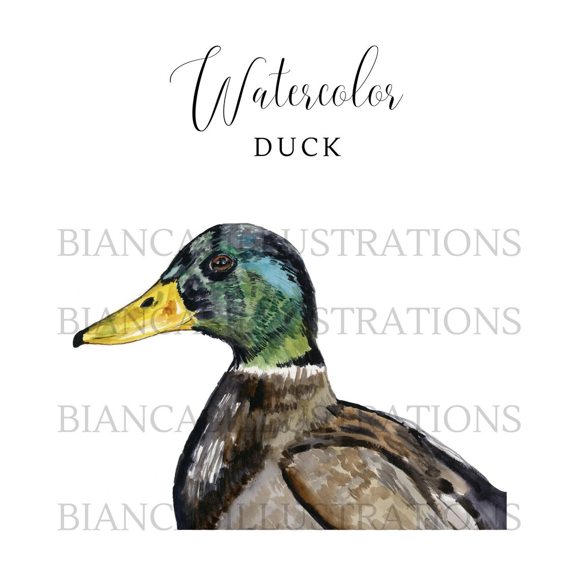 Watercolor Duck Clipart Hand Painted Illustration - Etsy