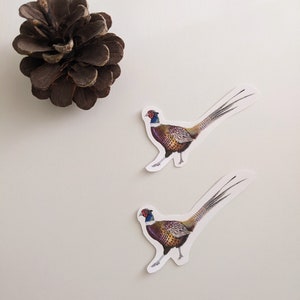 Phesant Stickers | Colored Pencil Bird Drawing | Hand Drawn | Vinyl ...