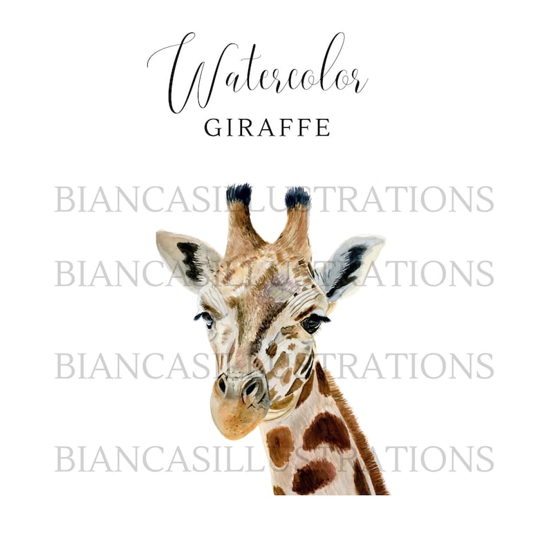 Giraffe Watercolor Clipart Hand Painted Illustration - Etsy