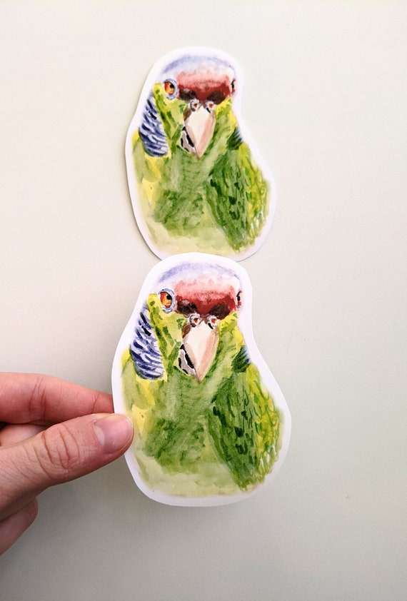 Parrot Stickers Watercolor Parrot Bird Vinyl Stickers for | Etsy