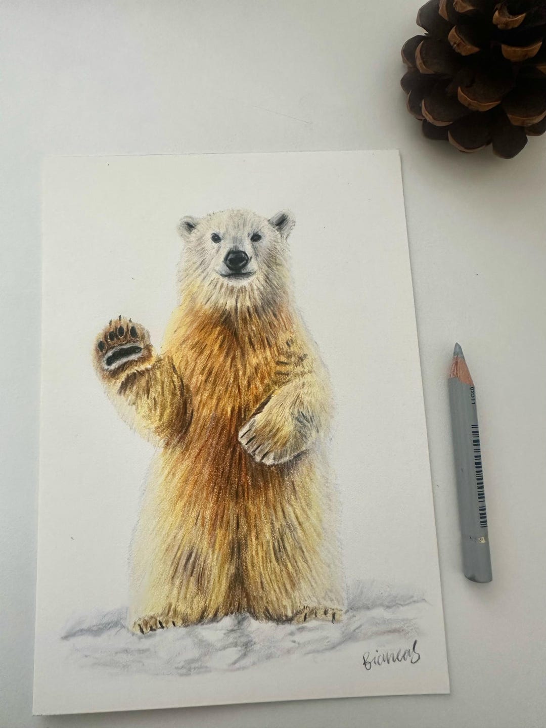 Original Colored Pencil Polar Bear Drawing | 5"x7" Artwork | Hand Drawn ...