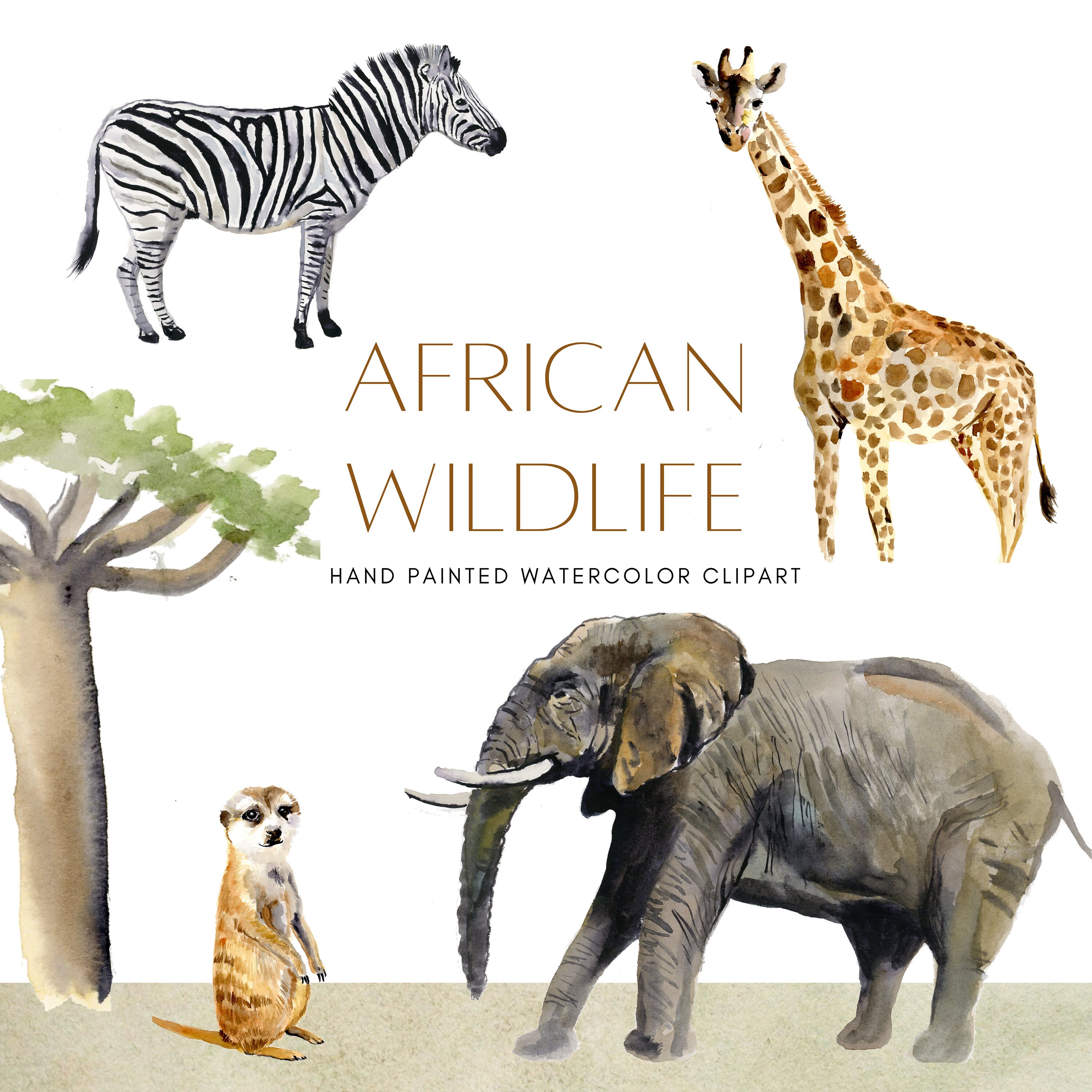 African Wildlife Clipart Wild Animals of Africa - Etsy