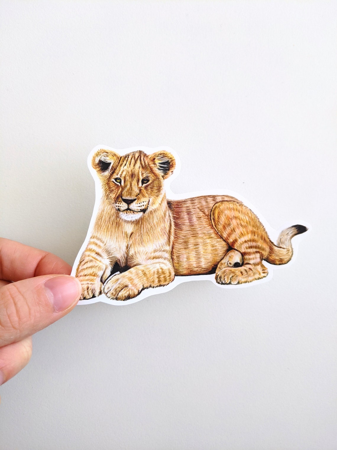 Löwe Sticker, Buntstift Löwe Vinyl Sticker, Wildlife Die Cut Sticker ...