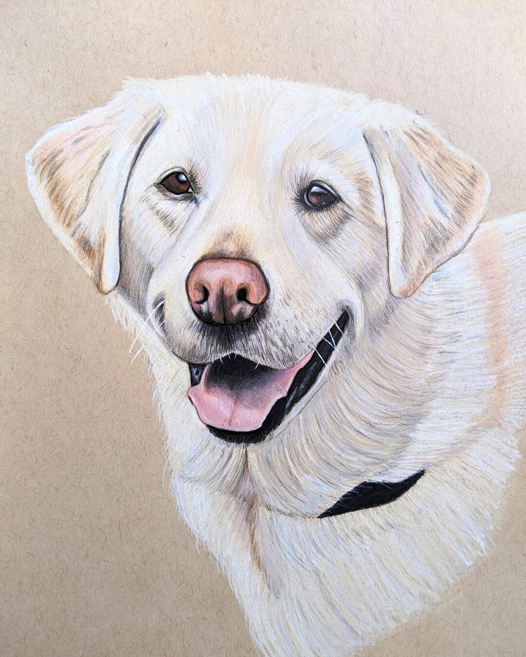 Custom Colored Pencil Pet Portraits, 9x12 Inch. on Toned Tan Paper - Etsy