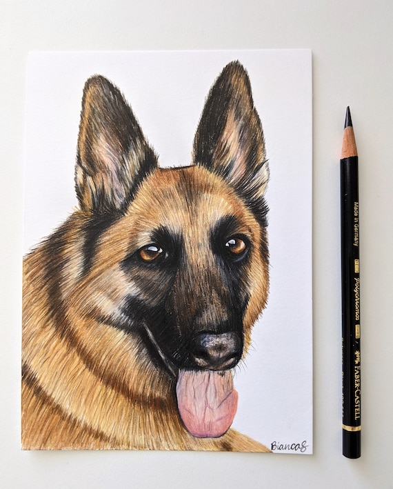 Custom Colored Pencil Pet Portraits Realistic Dog and Cat | Etsy