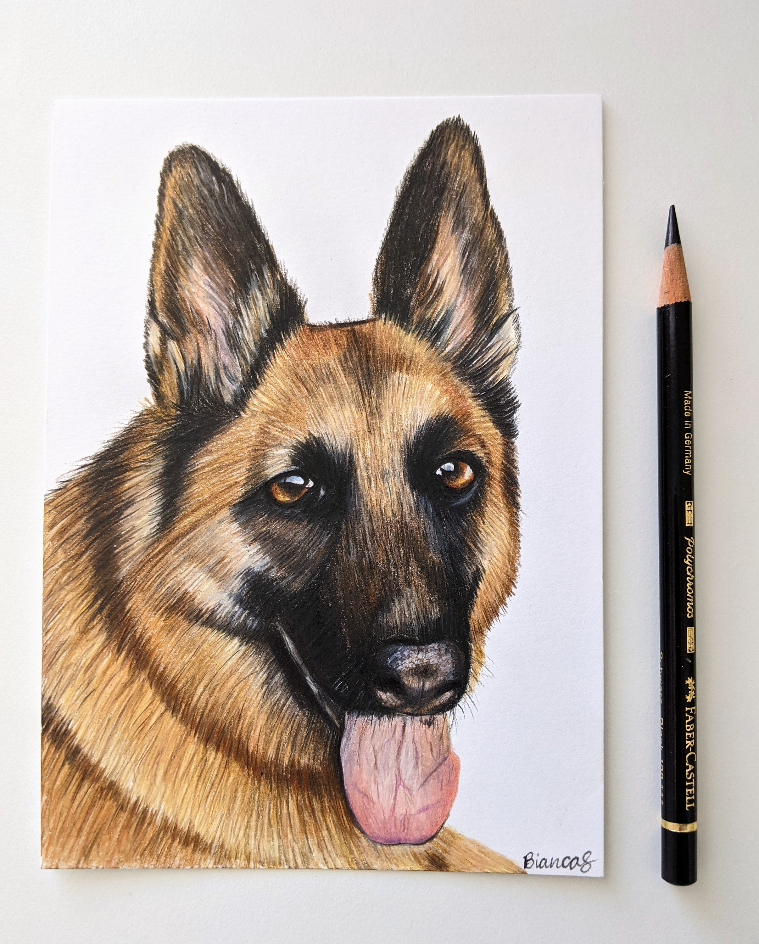 Custom Colored Pencil Pet Portraits Realistic Dog and Cat - Etsy