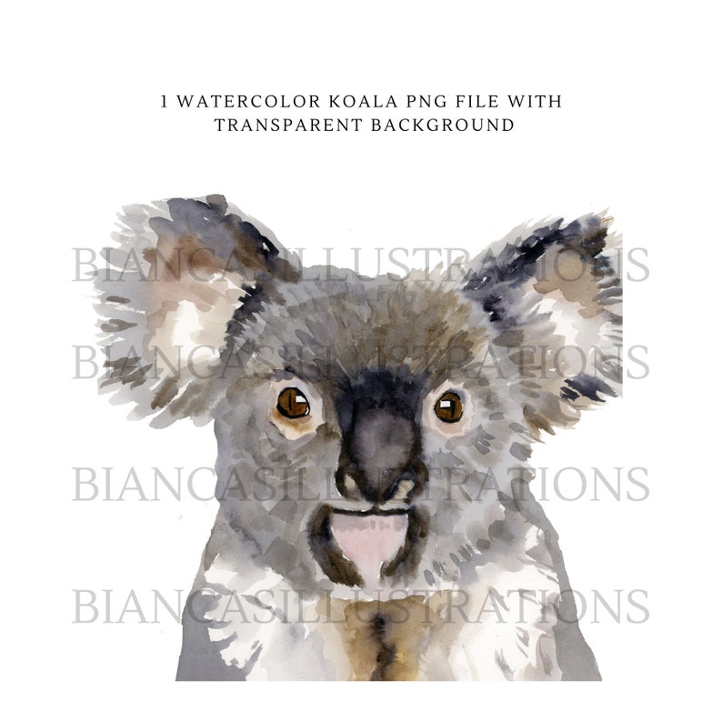 Koala Watercolor Clipart | Hand Painted | Illustration | Graphic ...