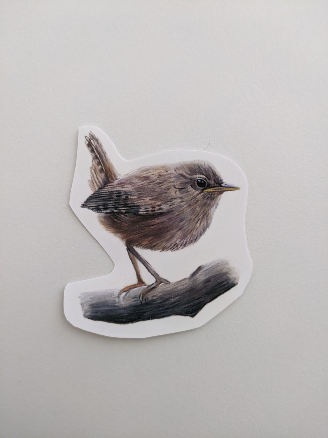 Wren Sticker | Bird Sticker | Colored Pencil Bird Sticker | Vinyl ...