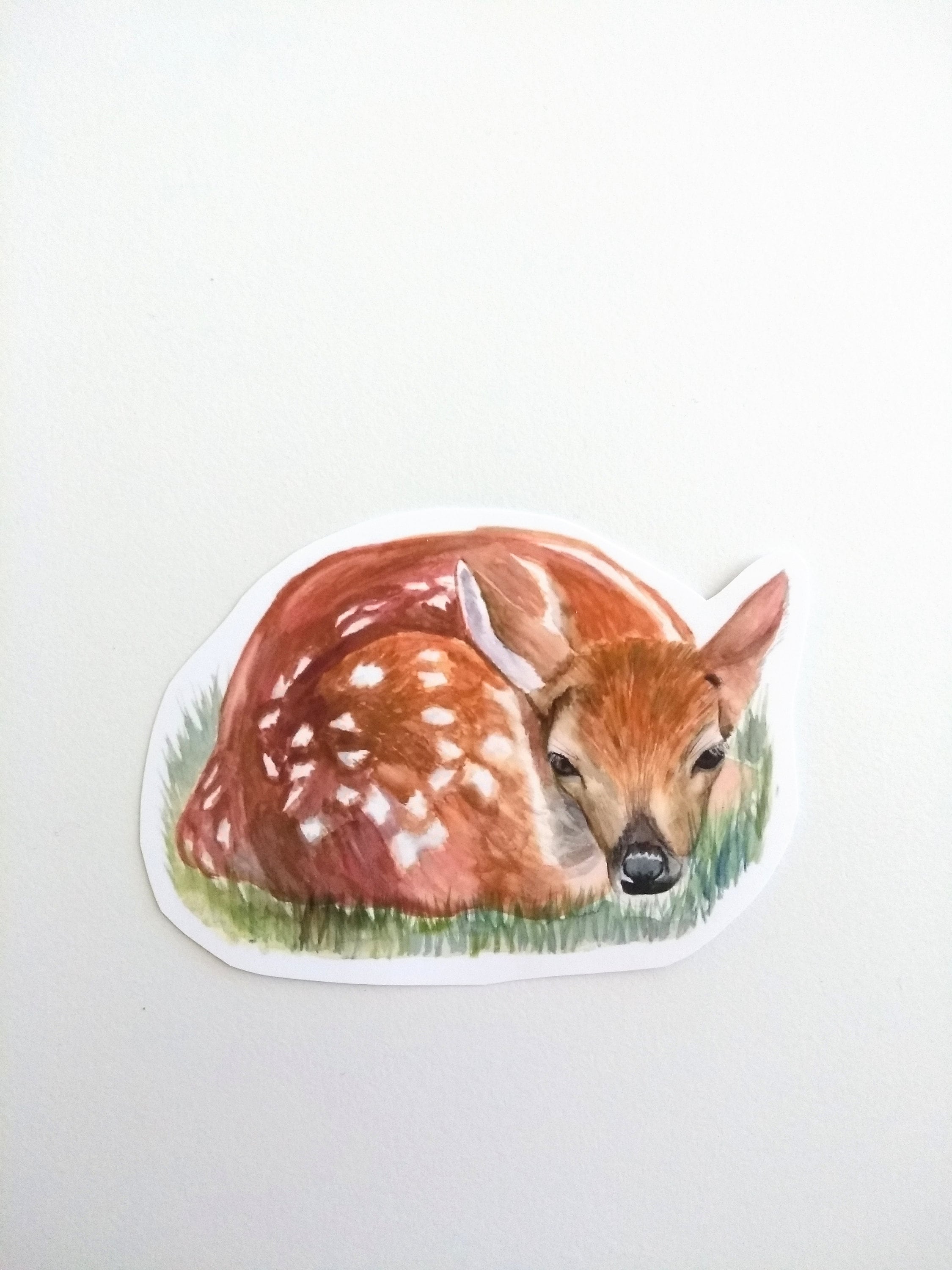 Baby Deer Sticker Watercolor Vinyl Sleeping Fawn Sticker | Etsy