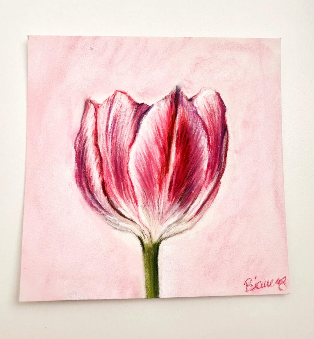 Tulip Drawing | Original Art | Hand Drawn | 4.5"x4.5" - Etsy