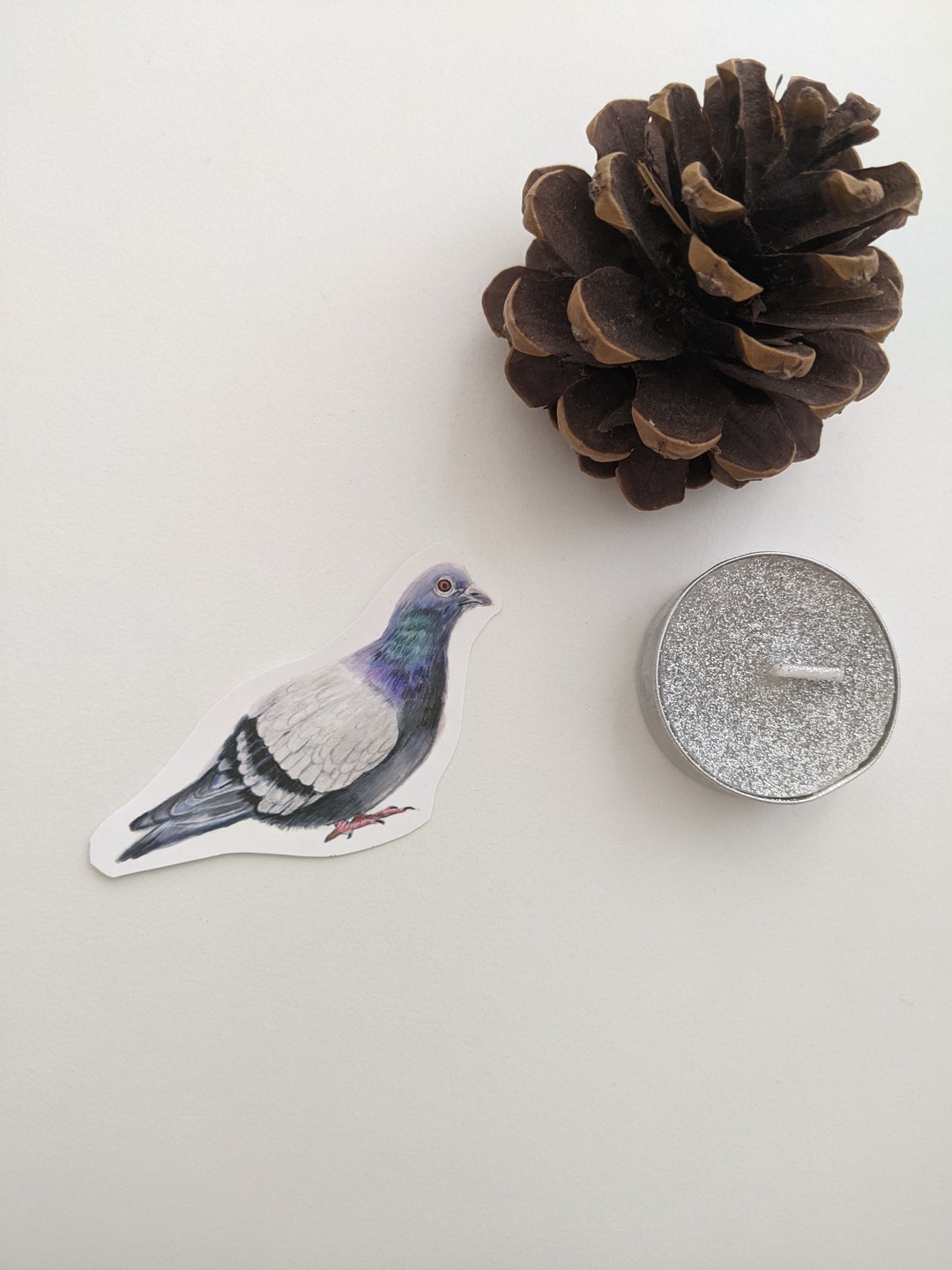 Pigeon Vinyl Stickers Colored Pencil Bird Stickers Bird Art Nature ...