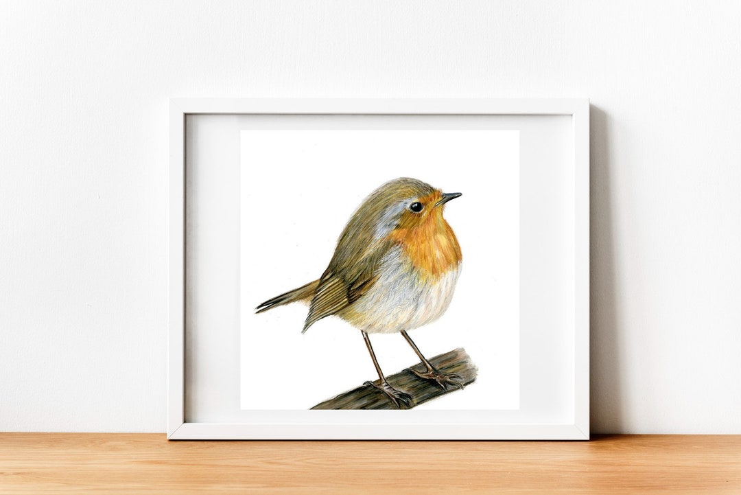 Robin Print, Giclee Print, Wall Decor, Bird Art, Illustration, Wildlife ...