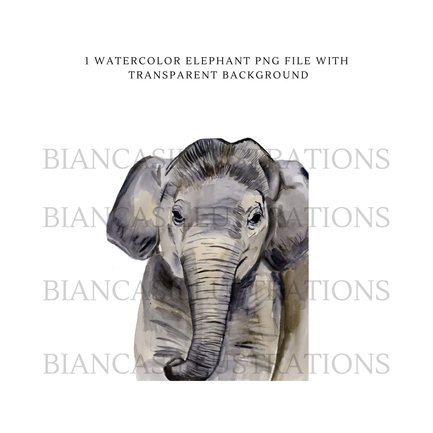 Watercolor Elephant Clipart Hand Painted Illustration - Etsy