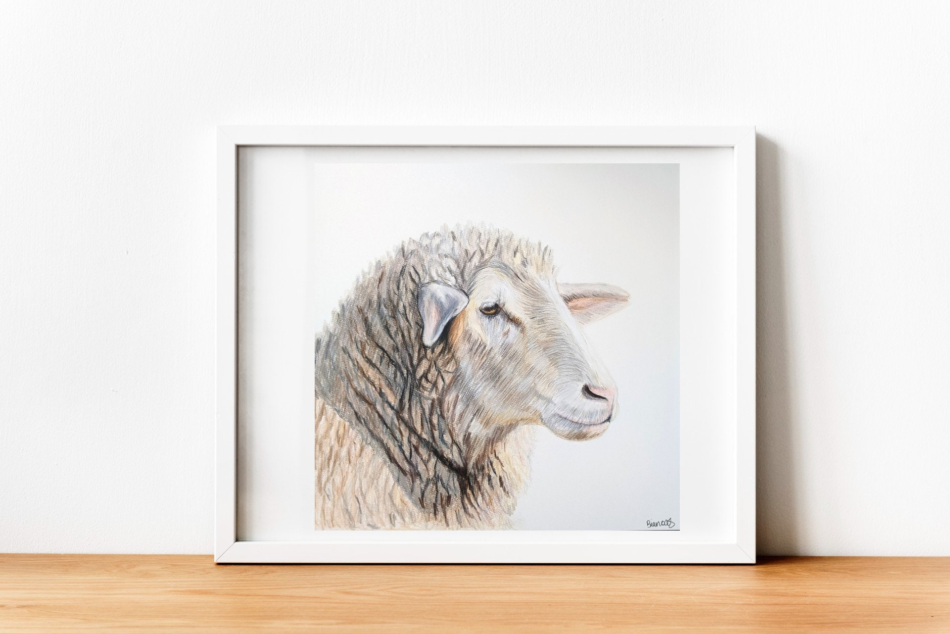 How To Draw A Realistic Sheep