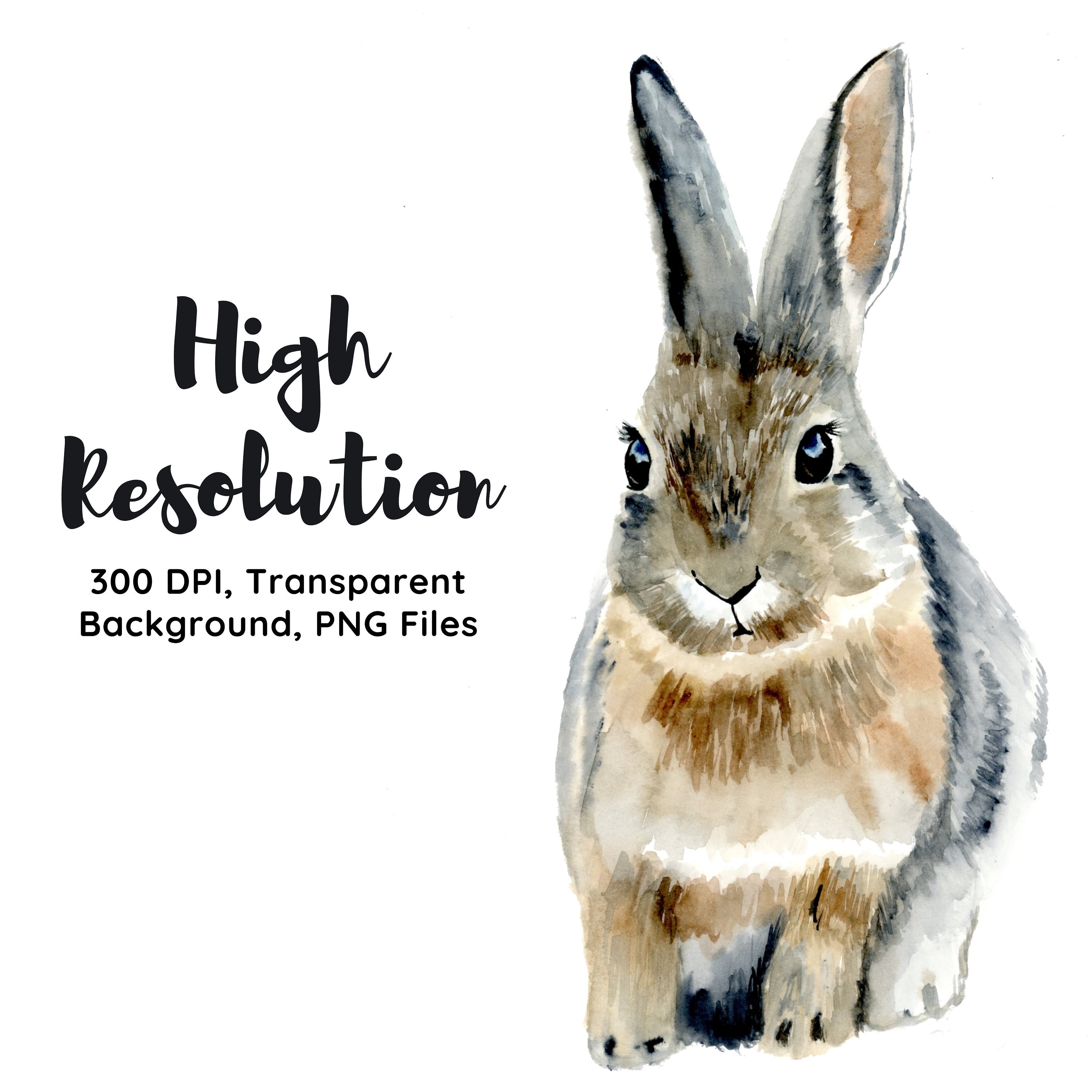 Watercolor Bunny Clipart Watercolor Rabbit Clipart - Etsy