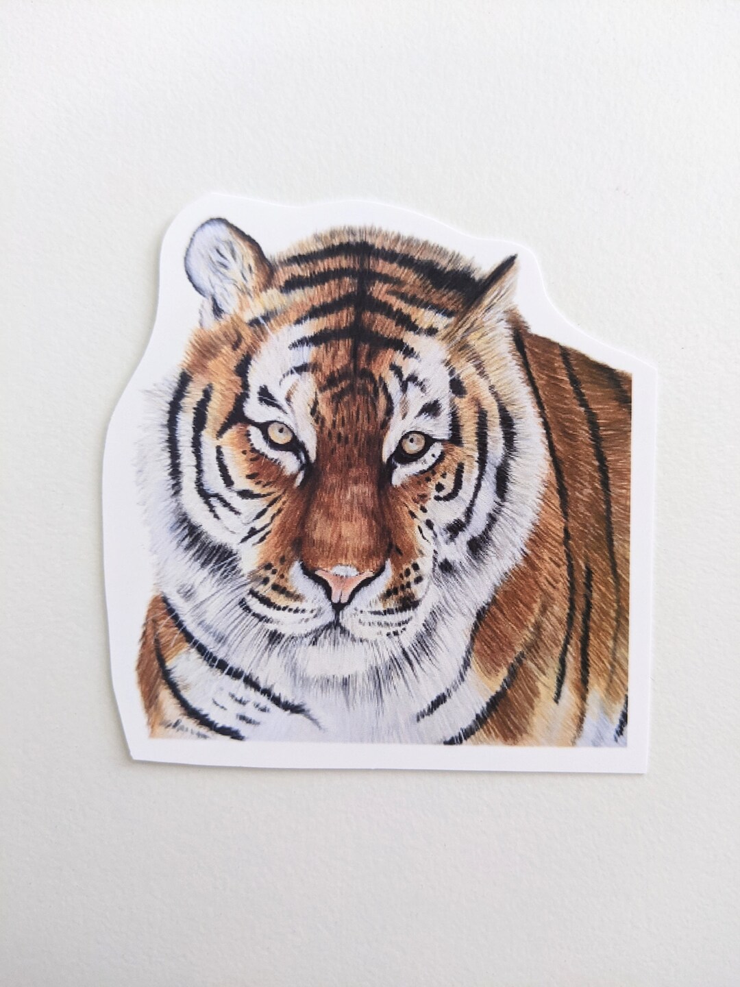 Tiger Sticker | Colored Pencil Tiger | Vinyl Sticker | for Water ...